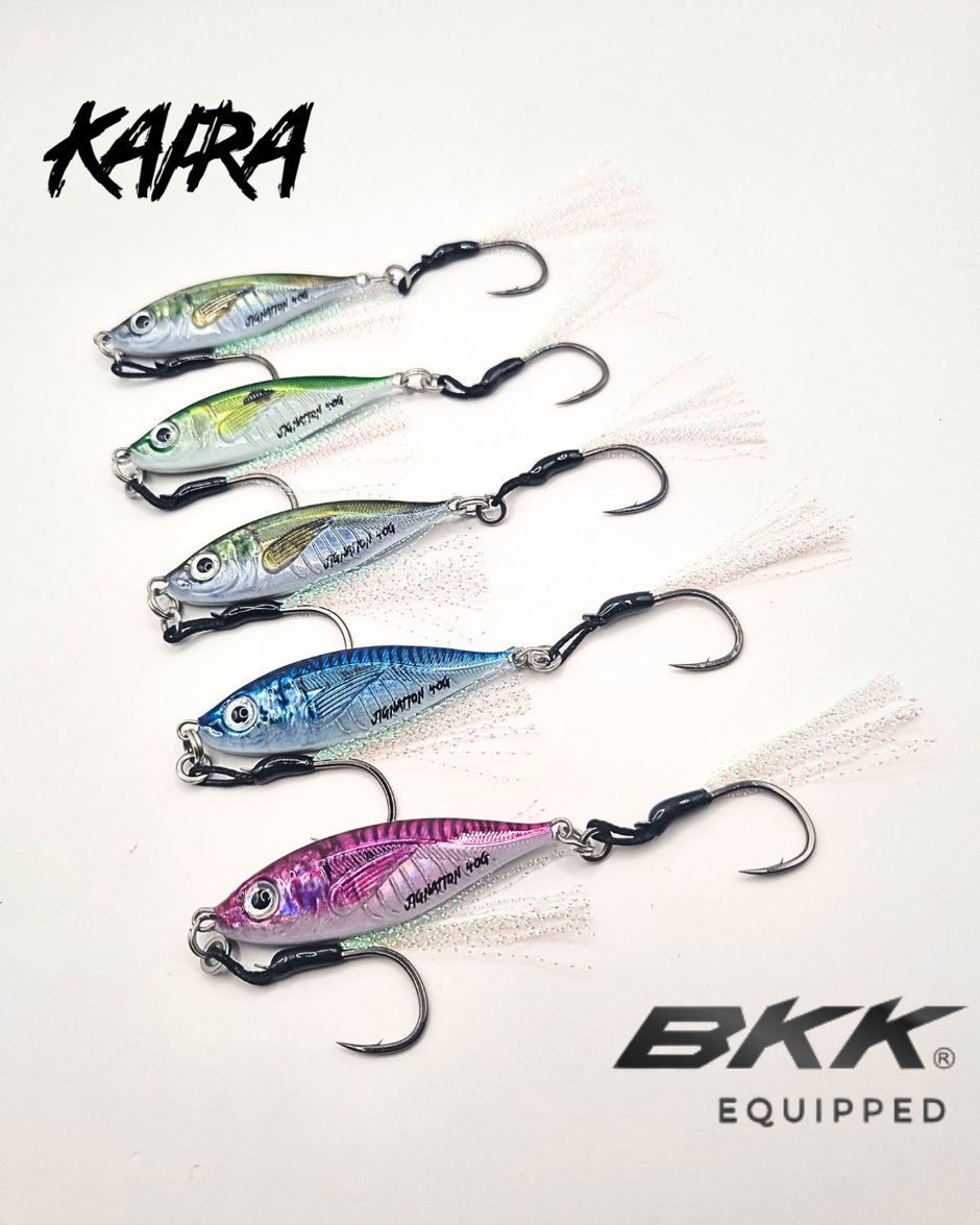 JIGS ALL JIGGING - JIGNATION